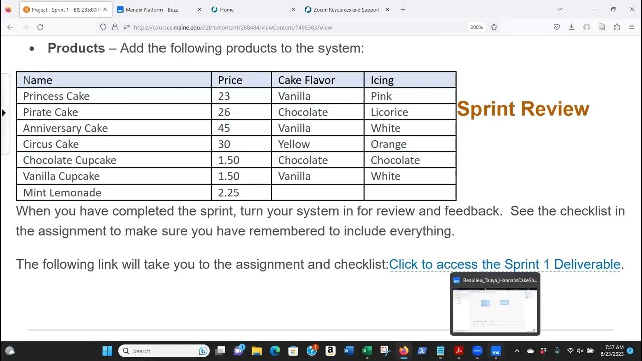 Sp1 Step 2 Create Domain Model for Hannah's Cake Shop Mendix 10 0 0 ...