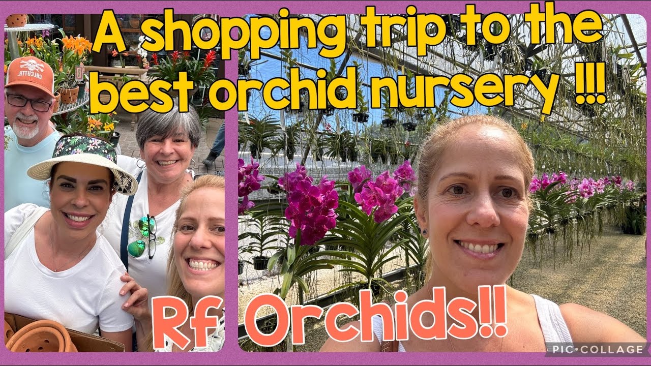 Nursery Tour- Orchid Shipping - most Beautiful orchid plant store ...