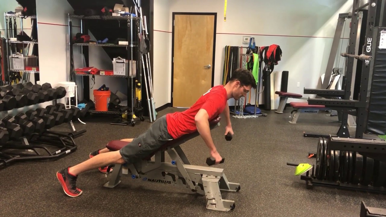 Chest Supported DB Scarecrow - YouTube