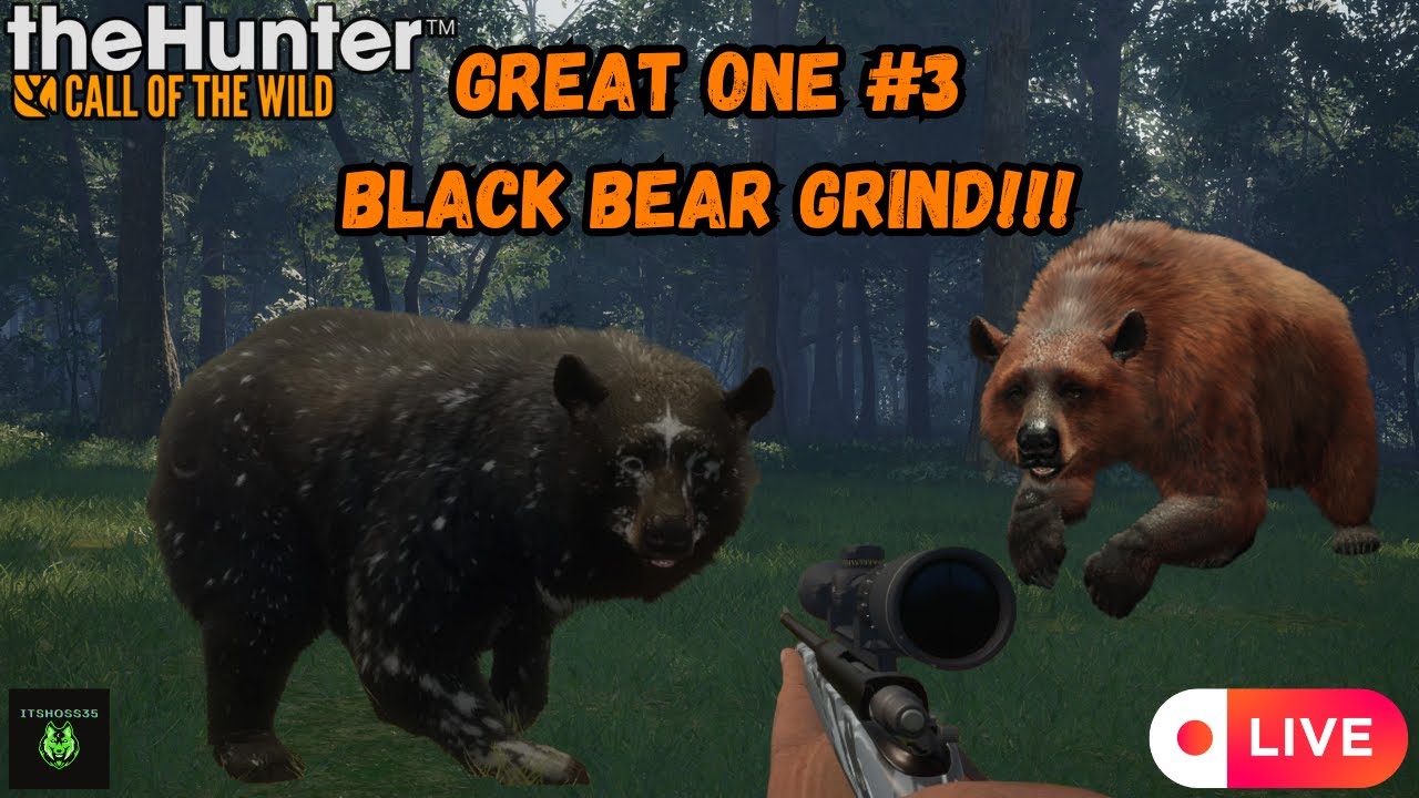 600 Black Bears into the G1 Grind, Spawning Soon?! | the Hunter: Call of the Wild - YouTube