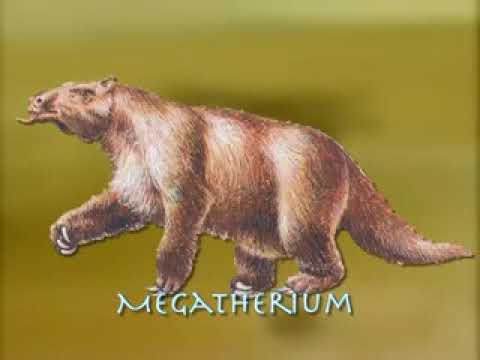 The Darwin Puzzle - YouTube