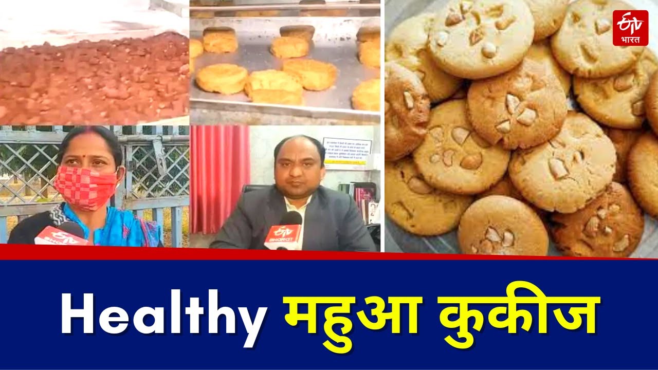 Healthy Mahua Cookies: महुये की शराब ही नहीं अब बन रही है कुकीज भी ...