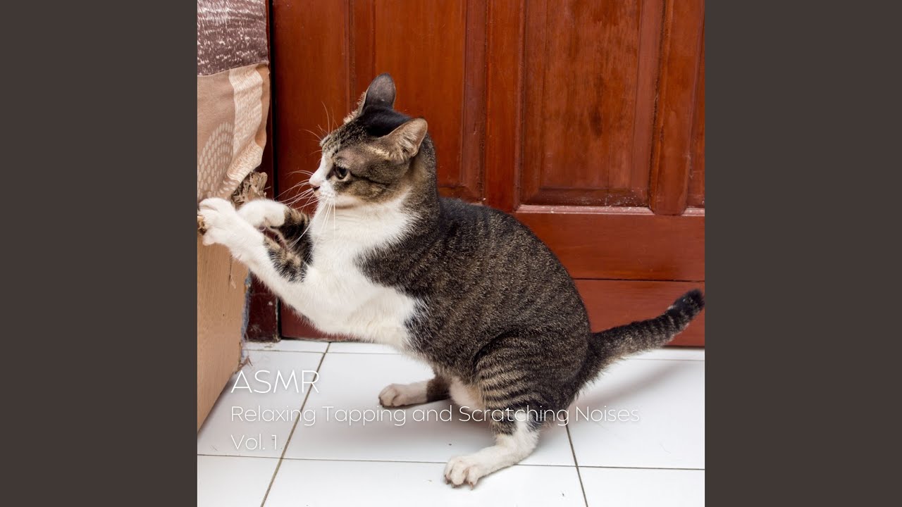 Tapping Glasses - YouTube