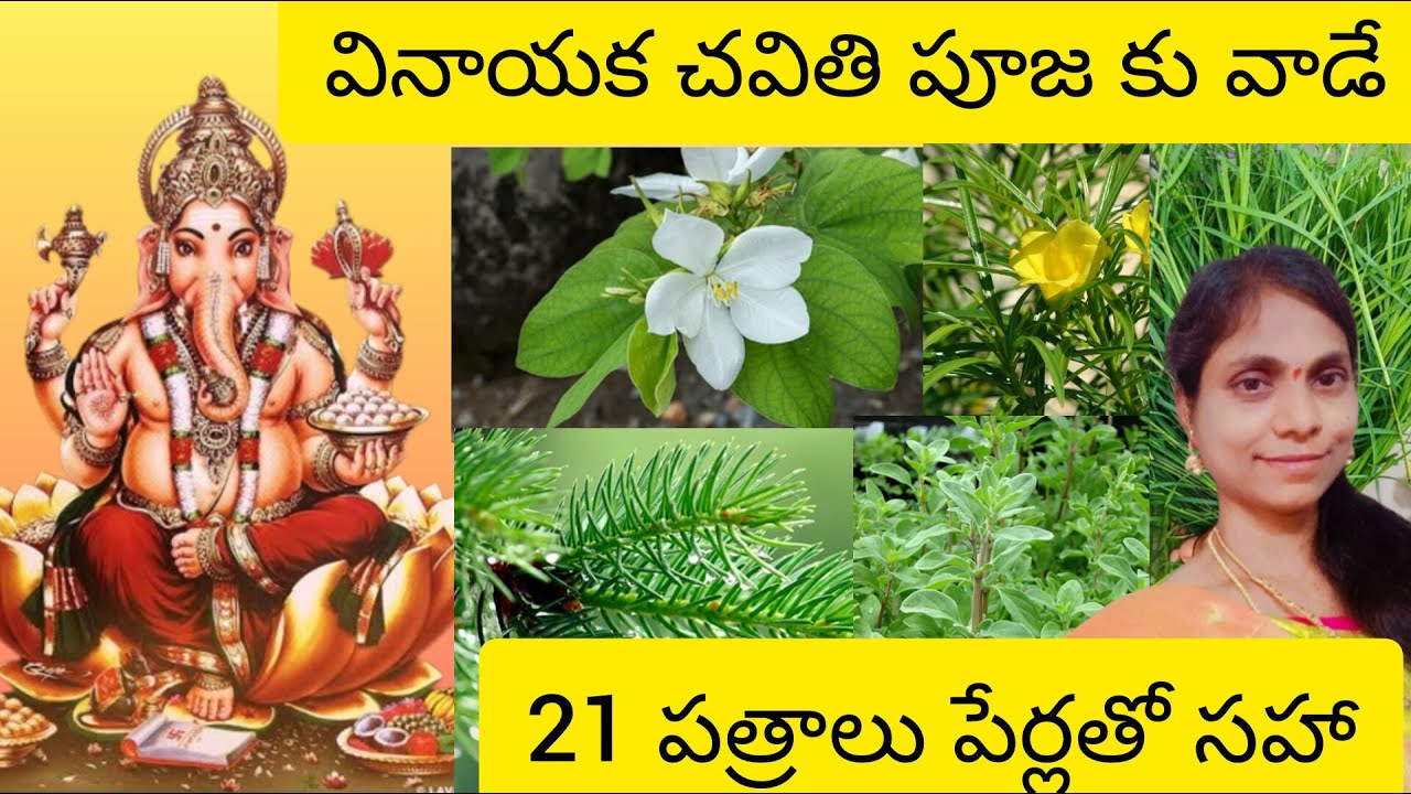 Vinayaka Chavithi poojaki kavalasina 21 pathri in telugu Devi ...