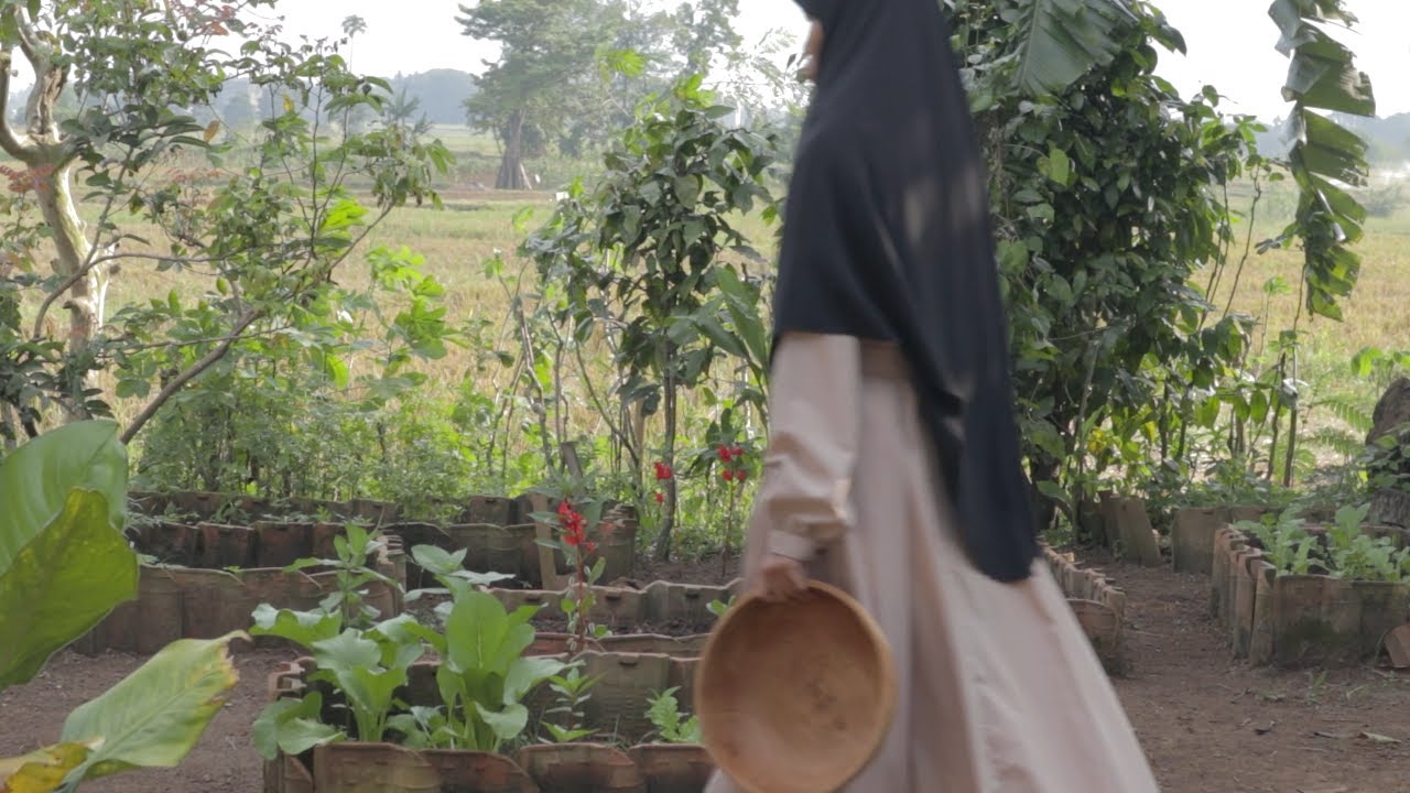 Rutinitas hidup dengan kebun, menanam sayur, memanen, memasak, tanam ...