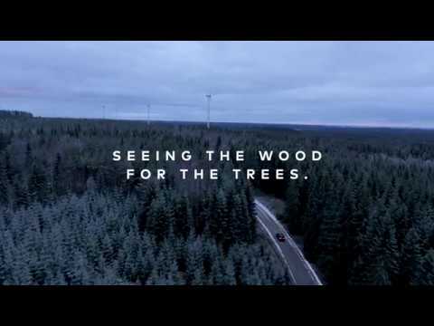 Seeing the wood for the trees - YouTube