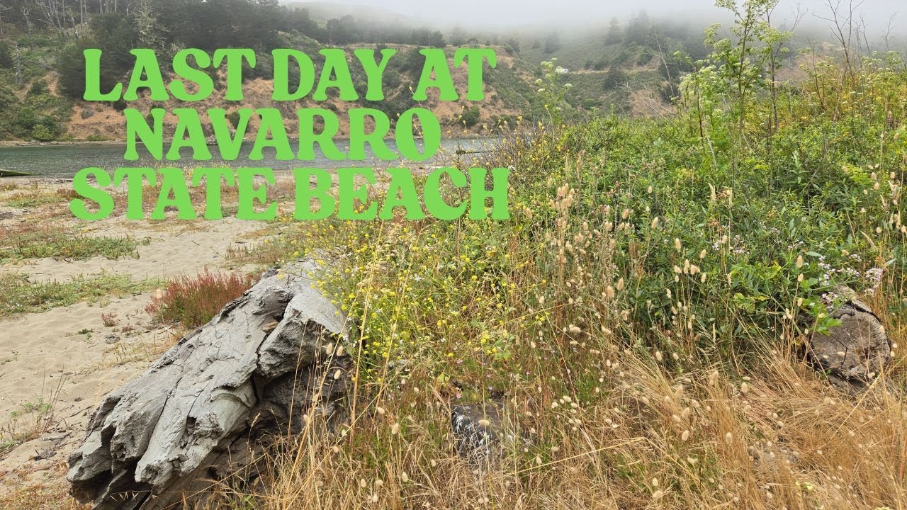 Last day at Navarro State Beach June 29,2025 - YouTube