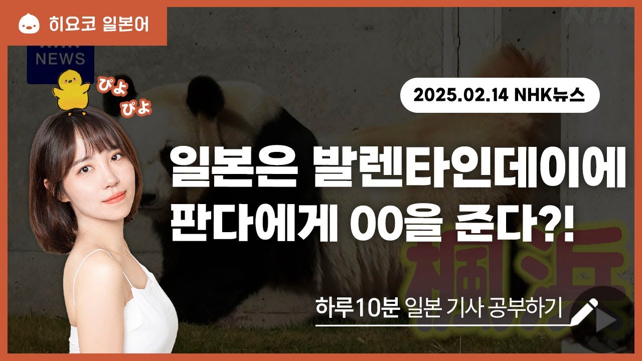 25.02.14 NHK 뉴스 해석 / 매년 발렌타인데이에 판다에게 00을 주는 일본! - YouTube