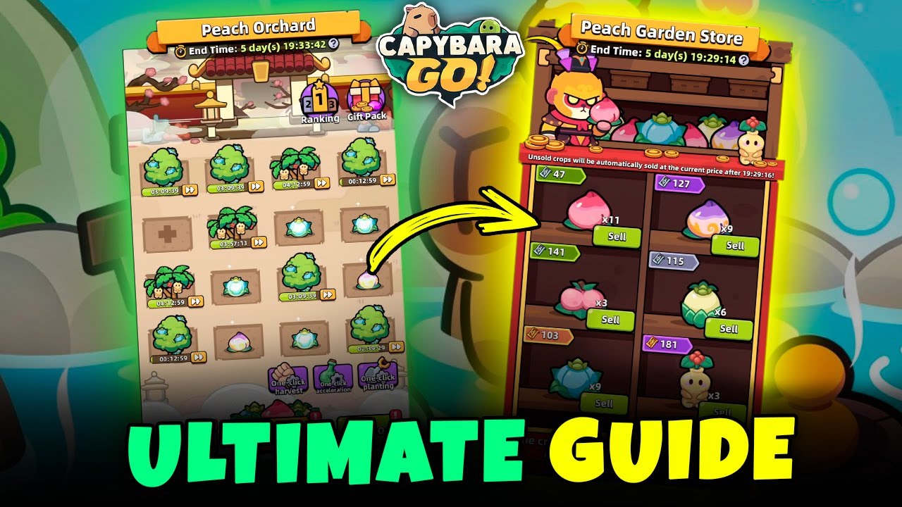 STRATEGY AND BEST REWARD GUIDE FOR PEACH ORCHARD EVENT // CAPYBARA GO ...