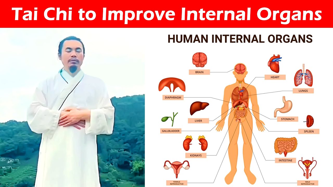 Protect Your Organs and Prevent Disease with Tai Chi Practice - YouTube