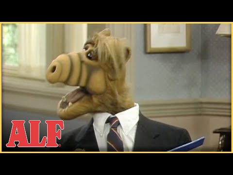 ALF the Lawyer, Court is Now in Session! | S2 Ep14 Clip - YouTube
