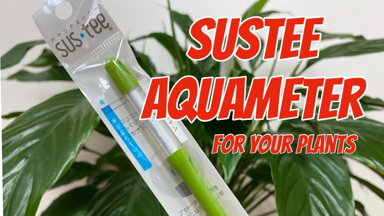 SUSTEE AQUAMETER / No more overwatering and underwatering of plants ...
