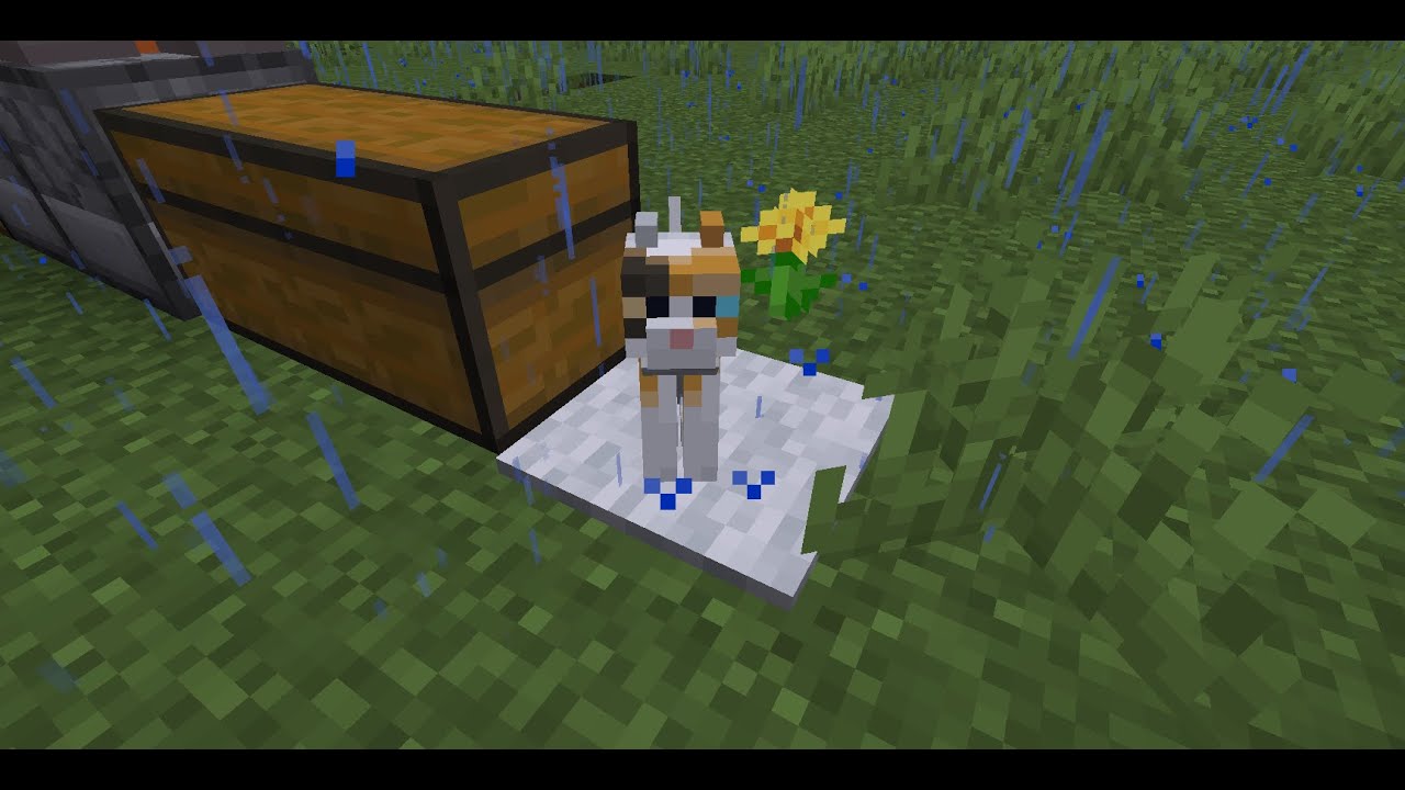 Minecraft 1.19 Gameplay (4) Our New Friend - YouTube