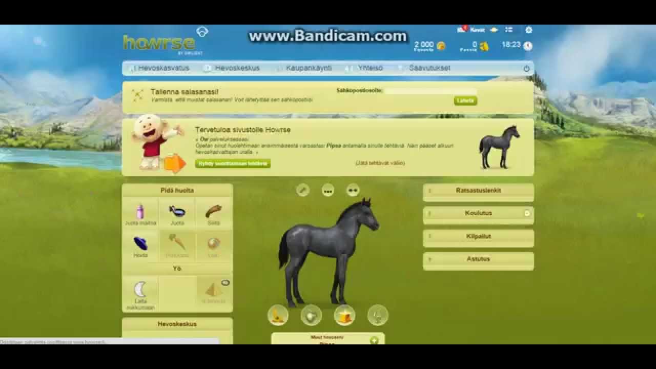 Lets Play: Howrse #1 - YouTube