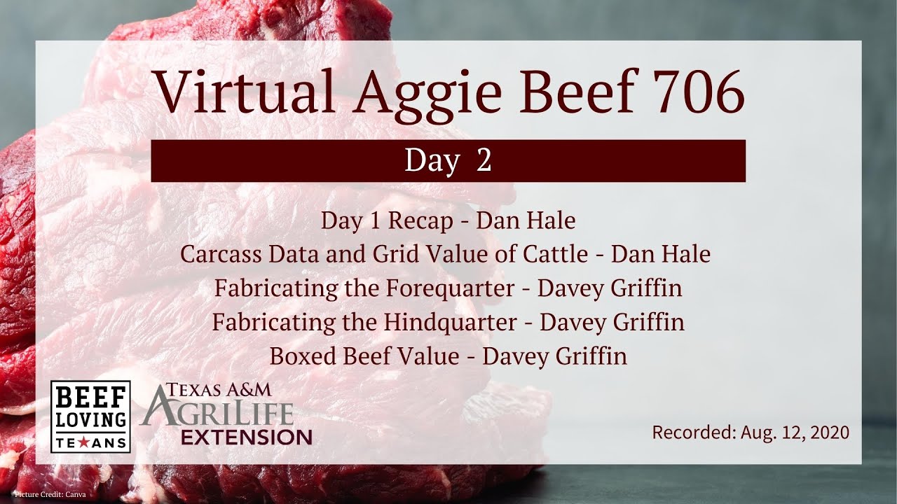 Virtual Aggie Beef 706 - Day 2 Carcass Value to Boxed Beef Fabrication ...