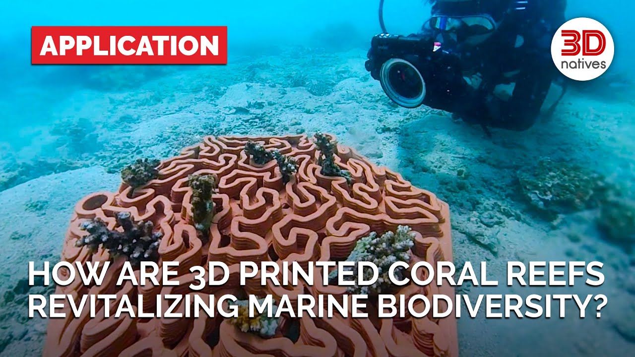 The 5 3D Printed Corals That Are Saving Marine Ecosystems ...