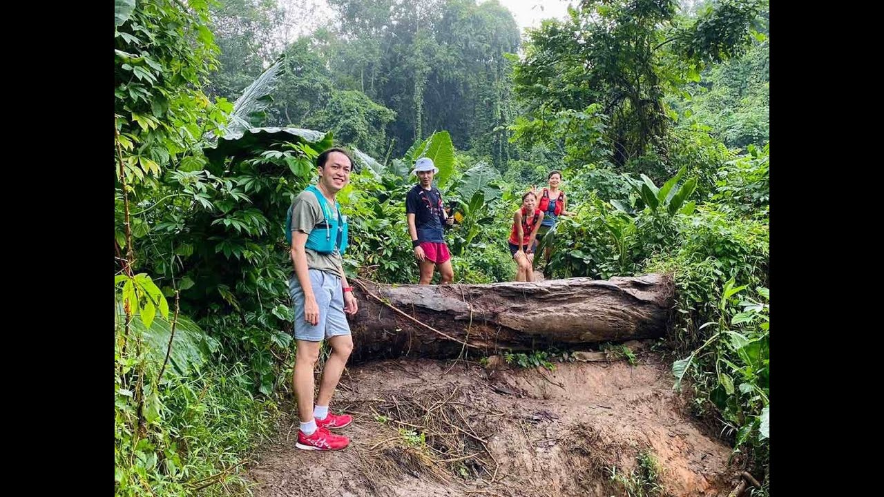 Green Corridor and exploration of Clementi Forest - YouTube