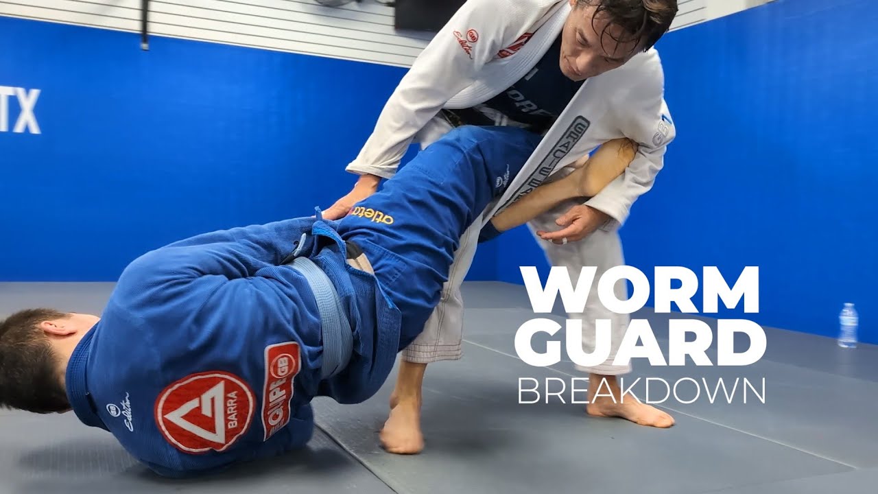 Worm Guard Breakdown with Prof Sooninho - YouTube