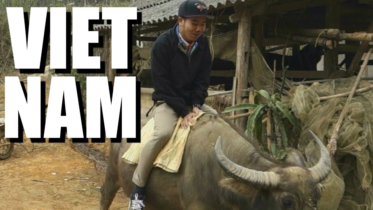 Kyle Le This was my Life in Vietnam: TRAVEL, FOOD, CULTURE. (Old ...