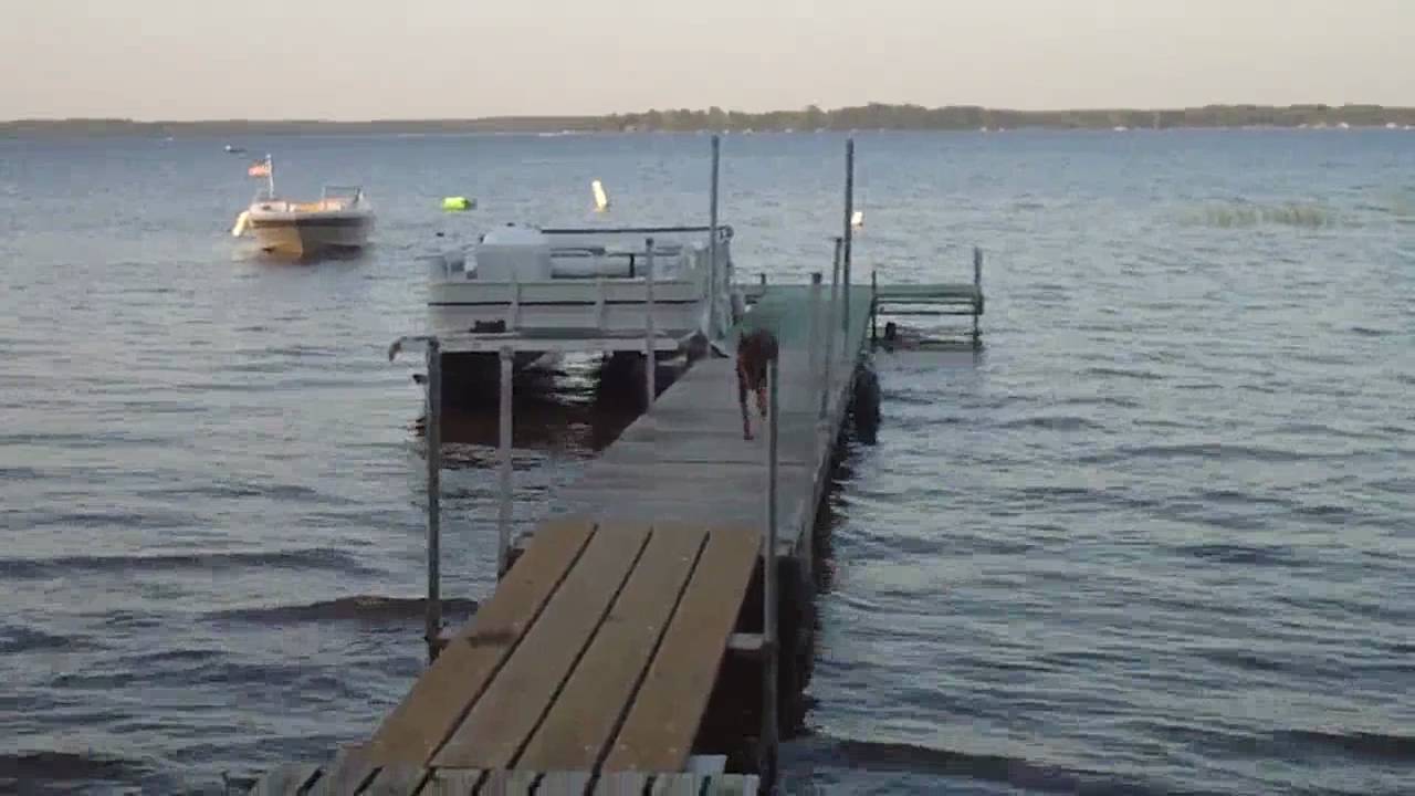 Wiggins waiting for boats on dock - YouTube