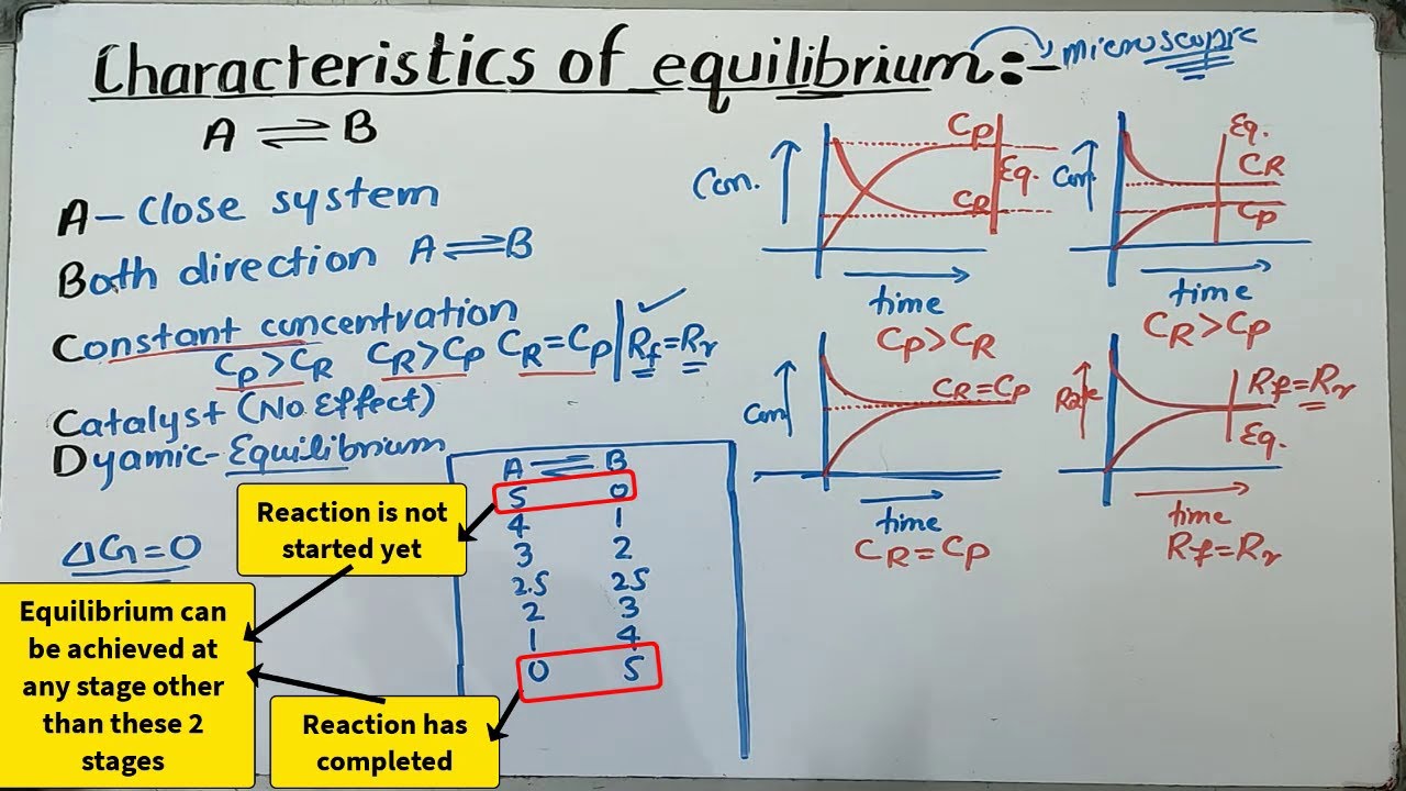characteristics of equilibrium | equilibrium | chemical equilibrium ...