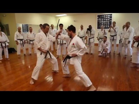 Osaka Yoshiharu Sensei, 8° Dan J.K.A. - The Ultimate Technician. - YouTube