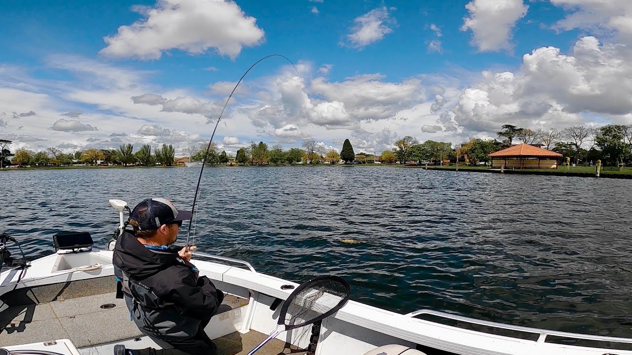 How Good Is This Trout Fishery! Fly Fishing on Lake Wendouree, Ballarat ...