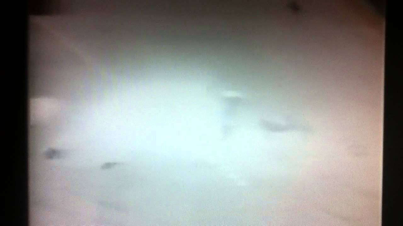 Danny Ongais Crash - YouTube