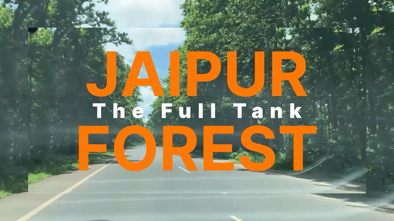 🌿🚗 My Drive Through Jaipur Forest – Bishnupur, West Bengal | Travel ...