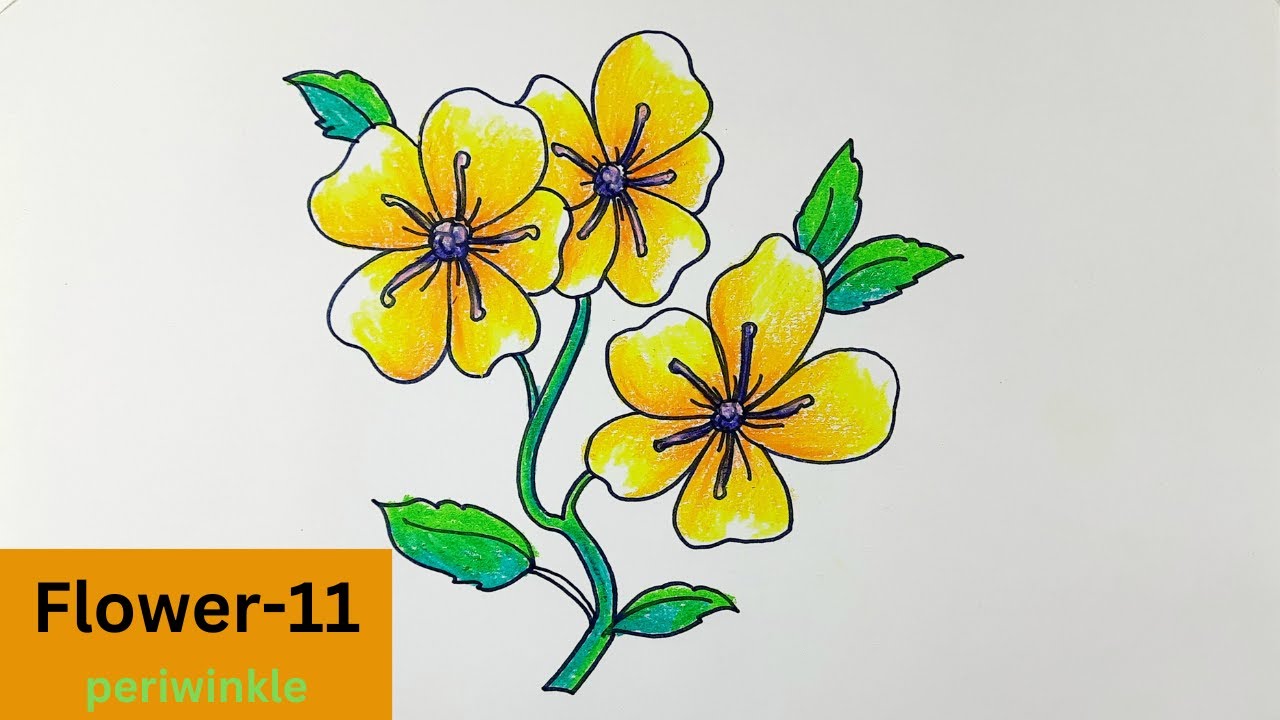 periwinkle flower drawing/ easy periwinkle flower drawing tutorial for ...