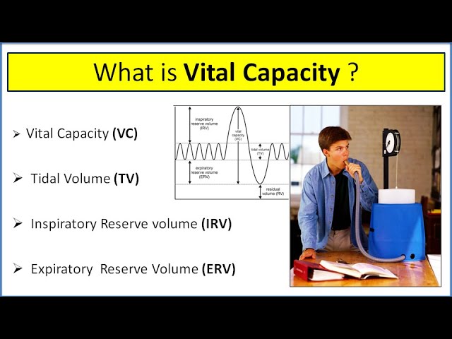 Inspiratory Capacity Volume
