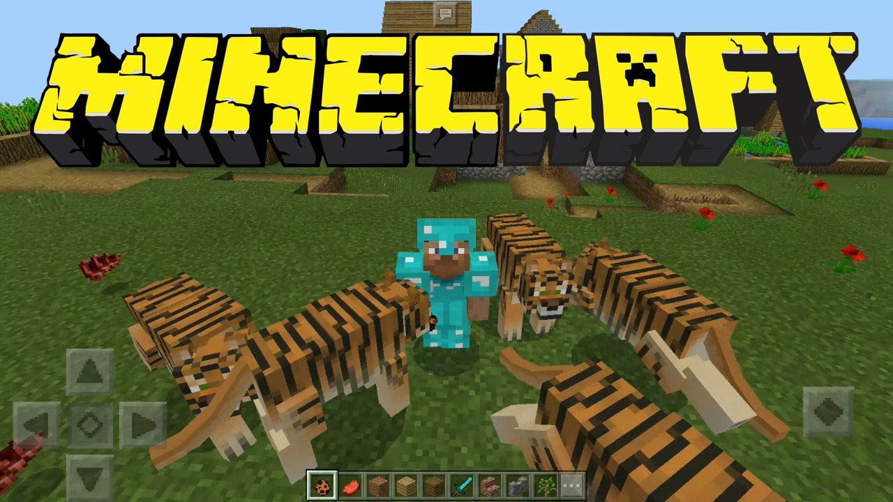 Minecraft Indonesia - Tiger (Add-On MCPE 1.1.0.8) - YouTube