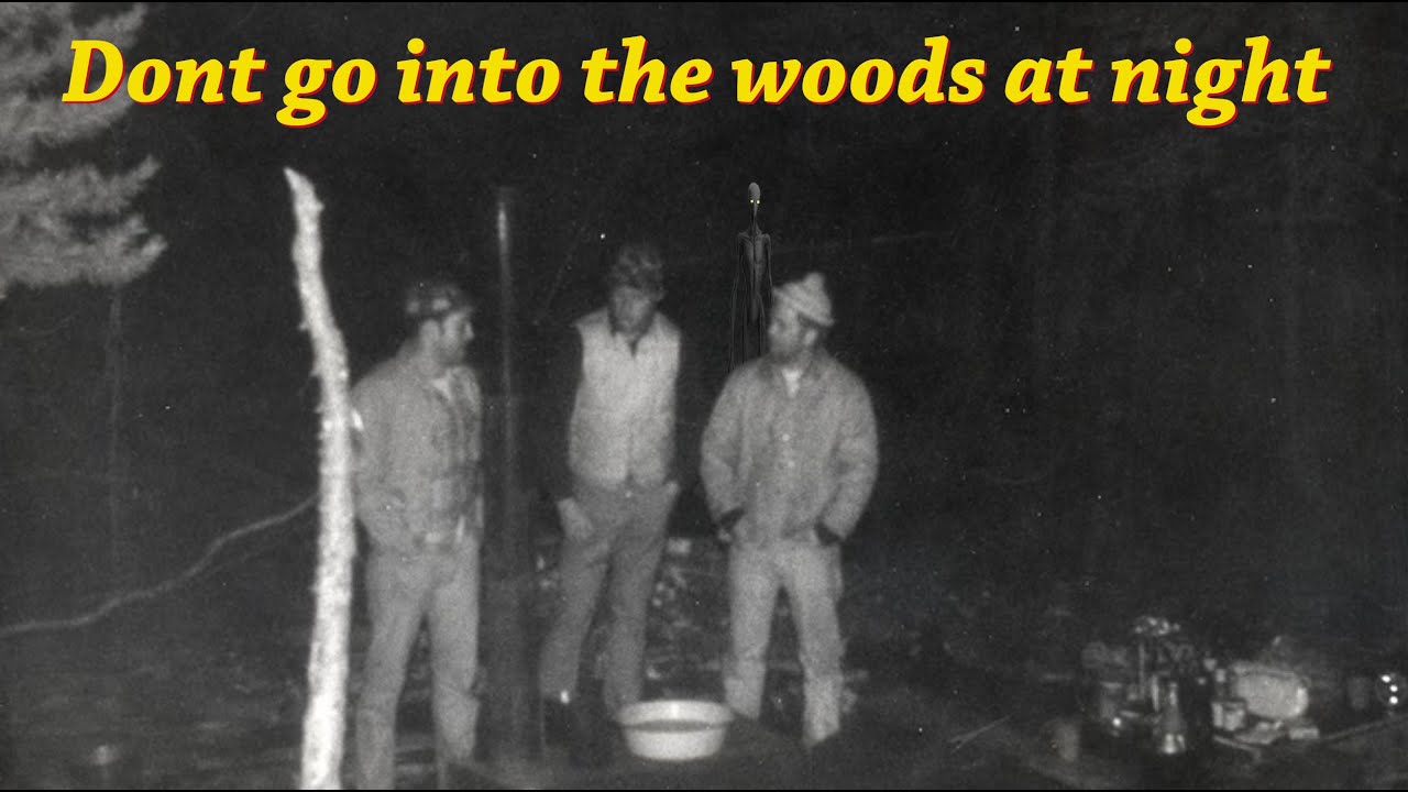 Disturbing Audio Recording of Terrifying Forest Encounter - "Sierra ...