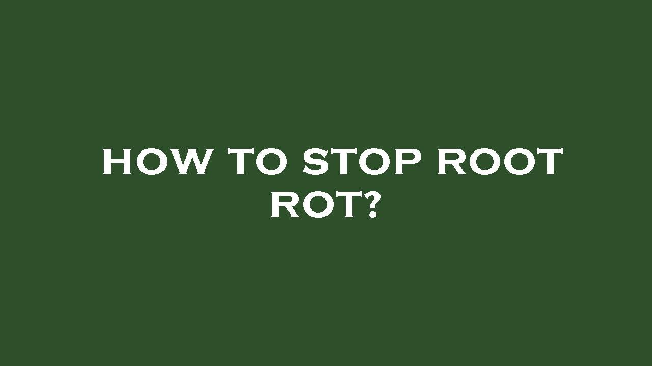 How to stop root rot? - YouTube