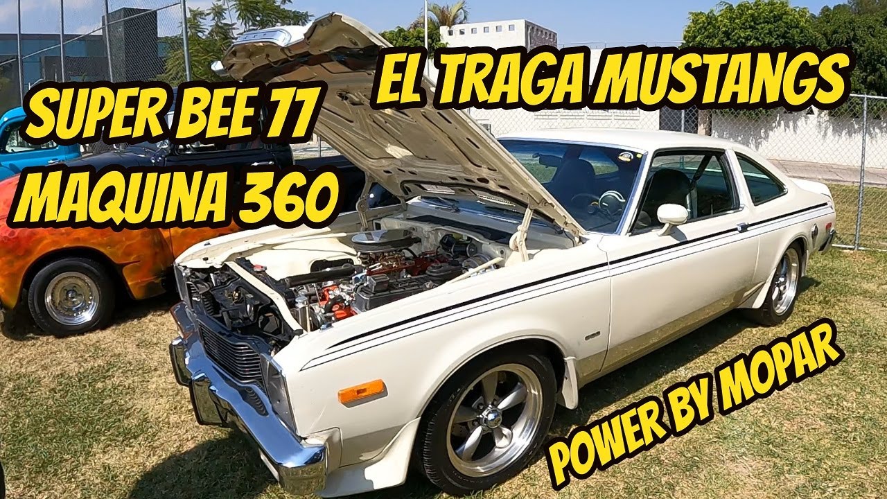 Super bee 77 mopar maquina 360 El traga Mustangs - YouTube