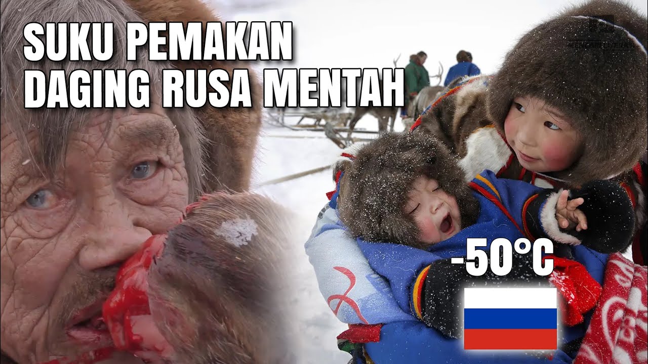 Bertahan Hidup di Arktik: Kehidupan Ekstrem Suku Nenets di Tundra ...