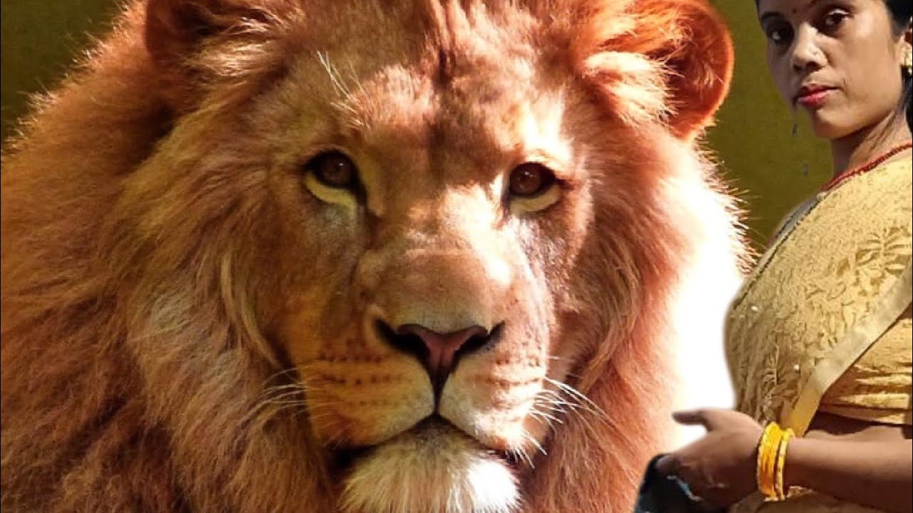 Renu Rani Ara Jila brand is live - YouTube