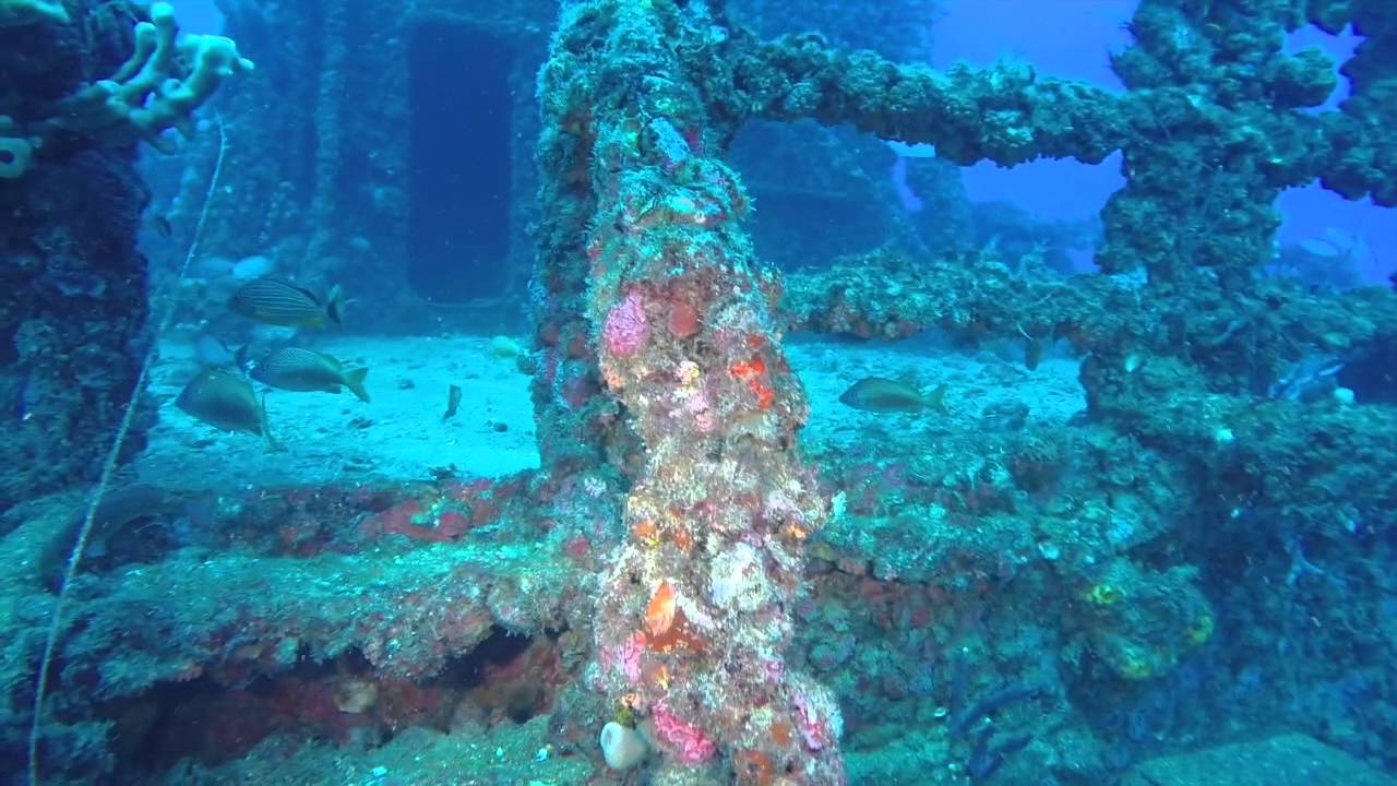 ex-USCG Cutter Duane - YouTube