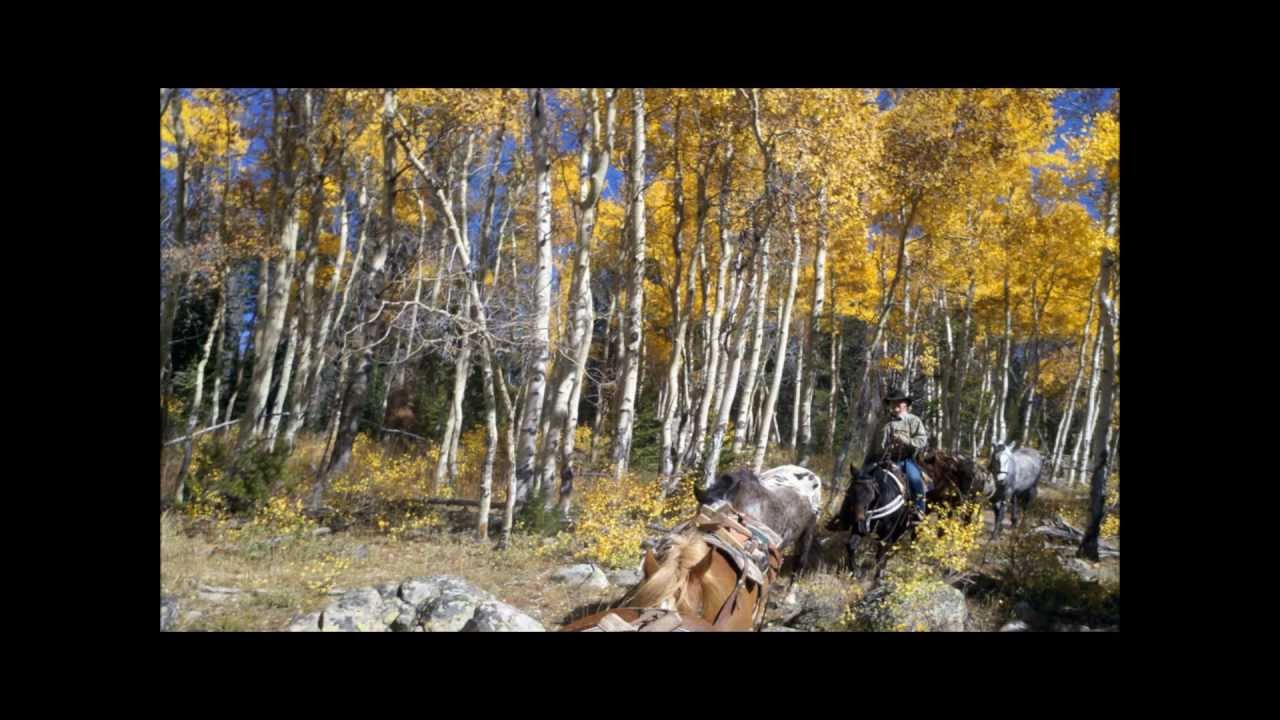 Wyoming Backcountry Elk Hunt 2011 YouTube wyoming-backcountry-elk-hunt-2011-youtube