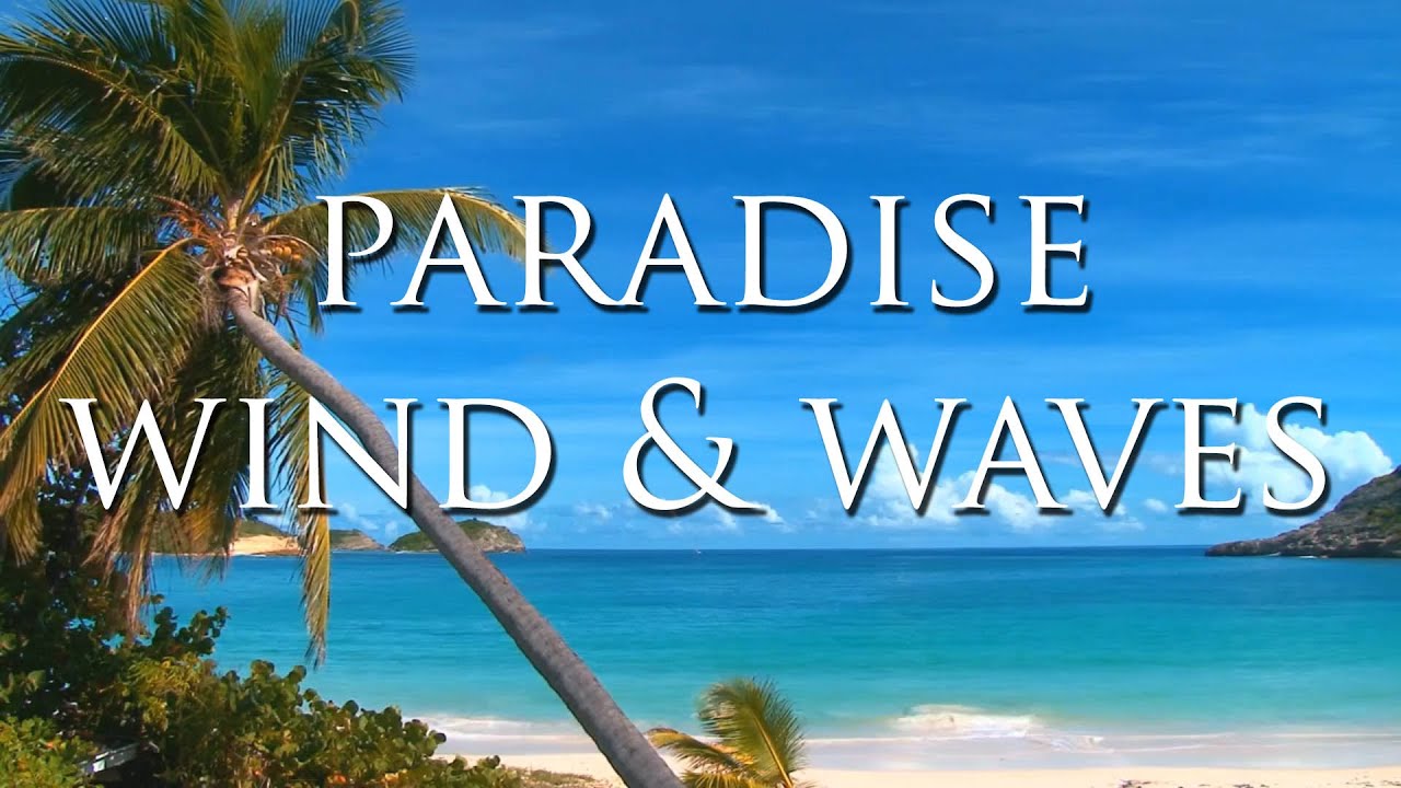 Paradise Wind and Waves | #paradise #vacation #nature #study - YouTube