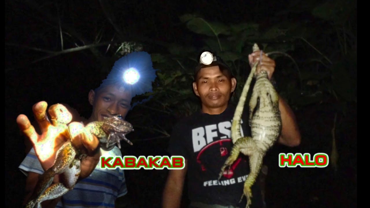 EP61 Catanduanes | Night hunting catching frog and monitor lizard ...