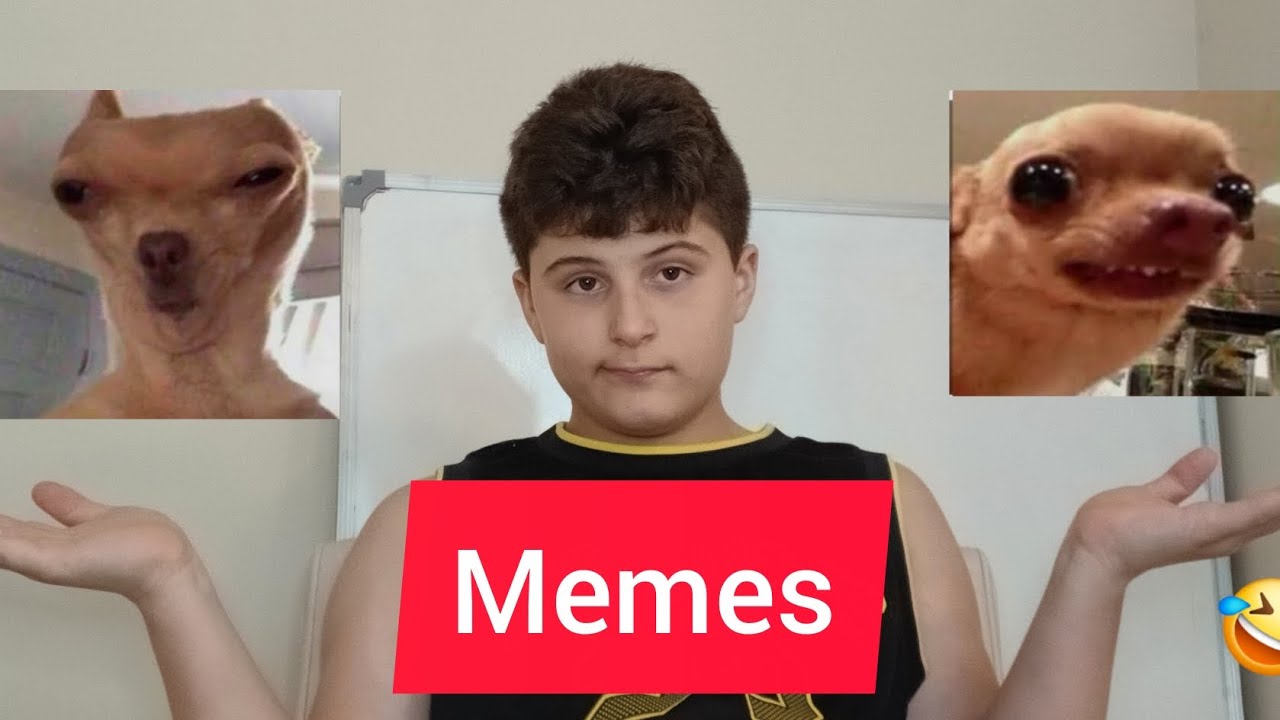 Memes mais engraçados que vc vai ver hoje - YouTube