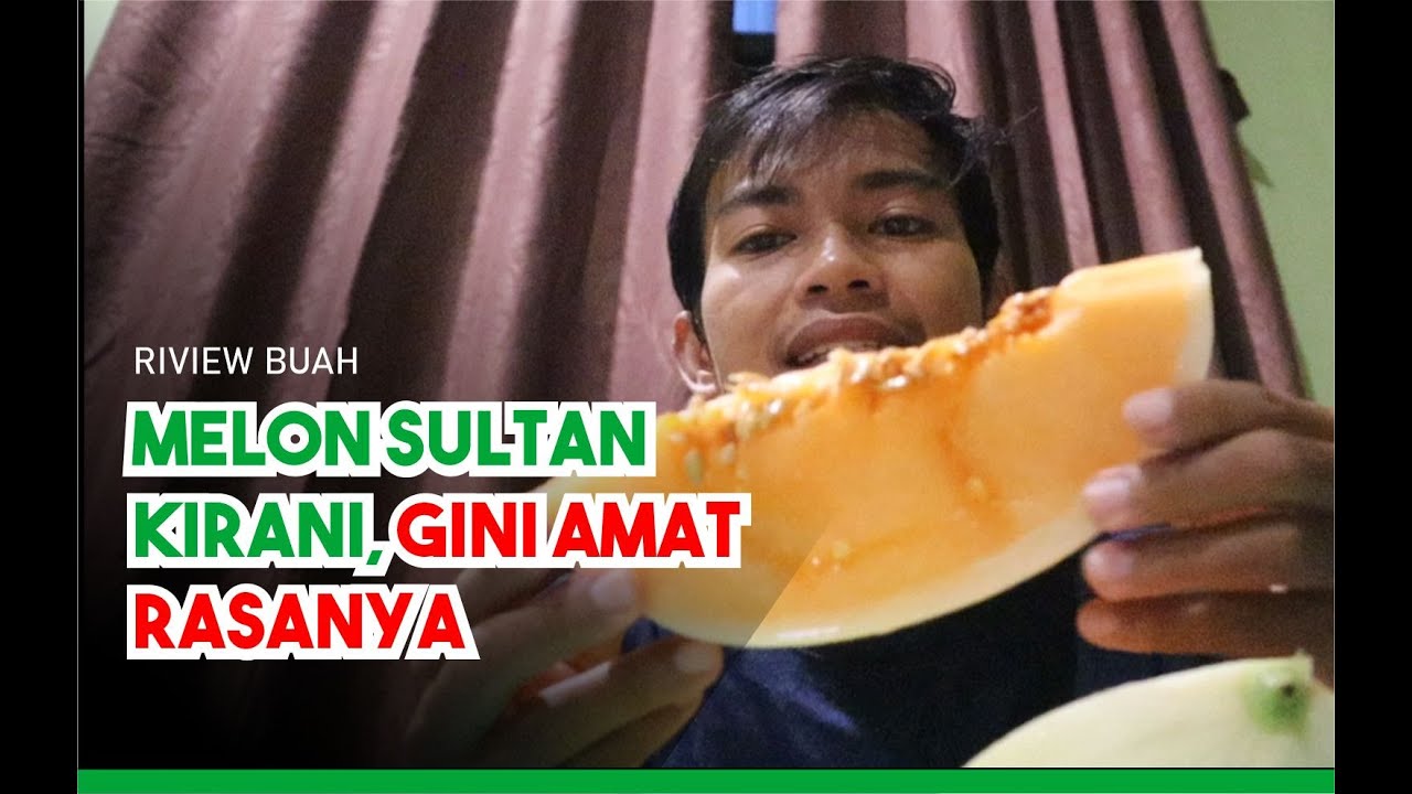 Begini rasa melon sultan Varetas kirani Tunas Agro - YouTube