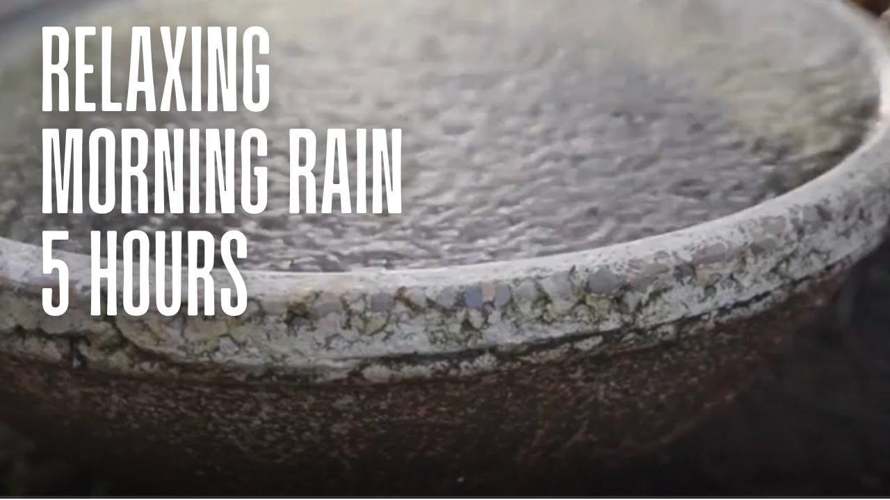 Rainstorm Sounds For Deep Sleep | Morning Rain for Relaxing, Study ...