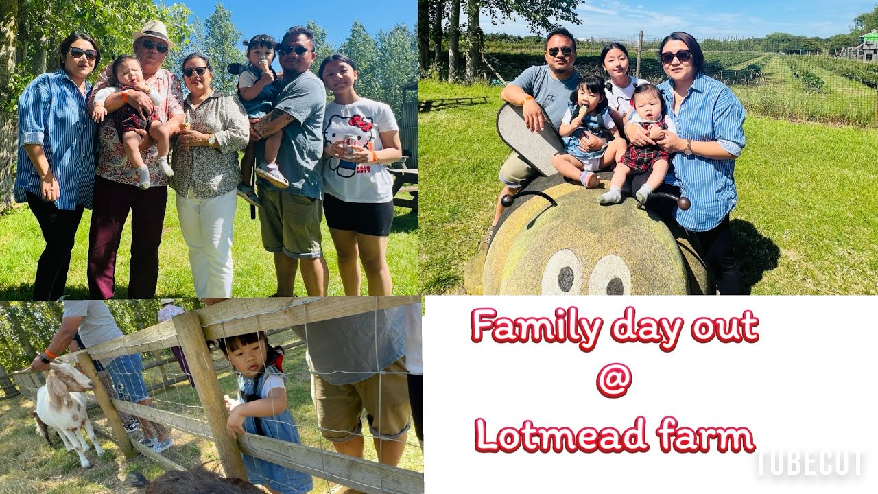 Family day out to Lotmead farm… - YouTube