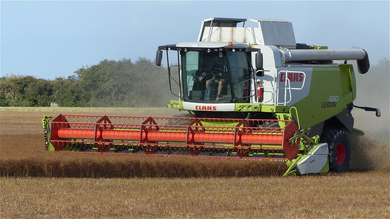 Class Lexion 650 Harvesting Linseed 2020 - YouTube