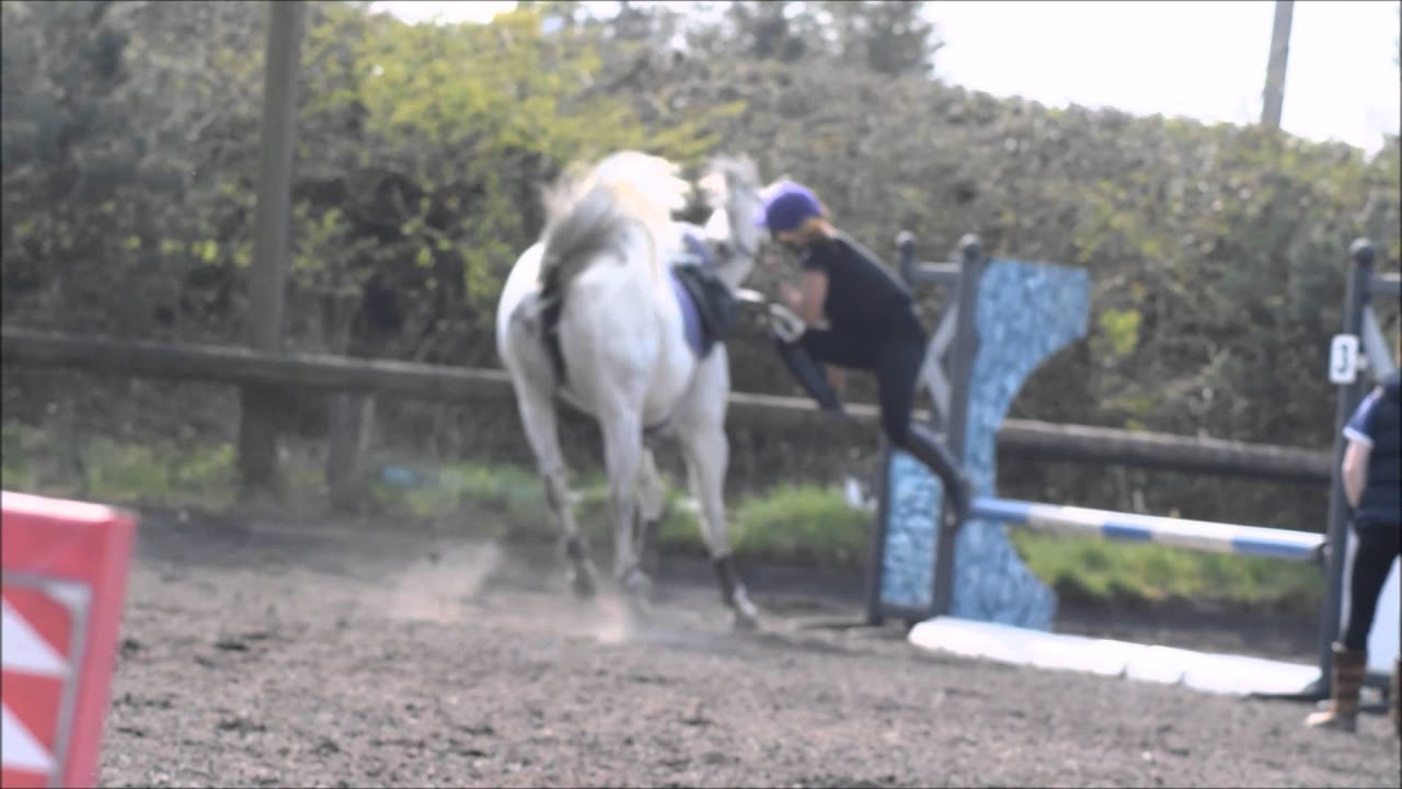 Funny horse fall!! MUST WATCH! - YouTube
