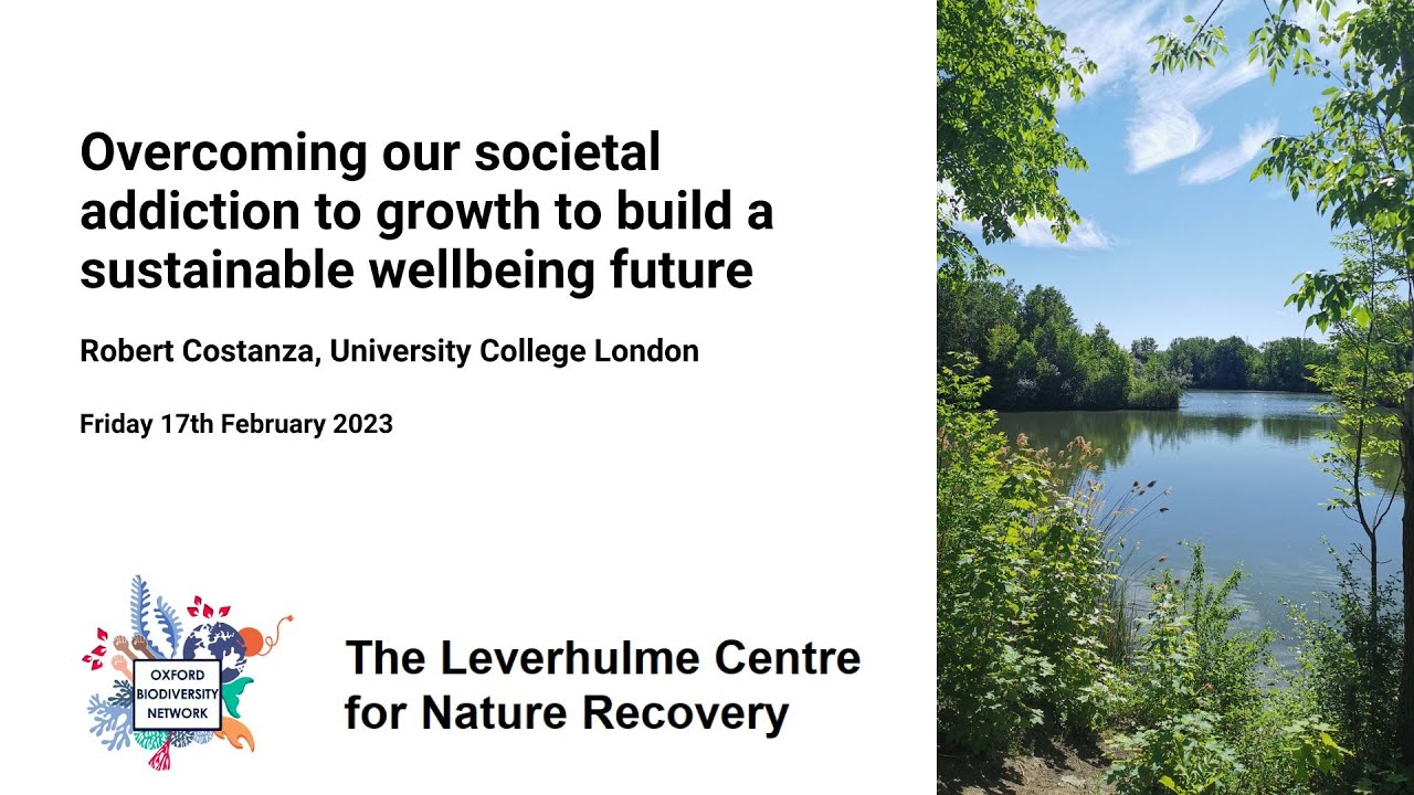 Addicted to growth: Societal Therapy for a Sustainable Wellbeing Future ...