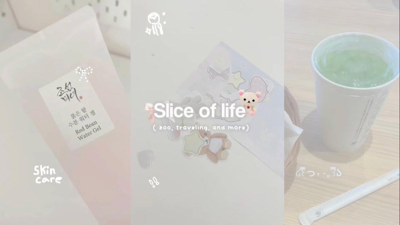 Slice of life ( ᴗ͈ˬᴗ͈) 🎀 ( kangaroos, packing, and more) - YouTube