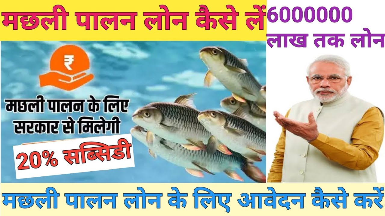 मछली पालन लोन कैसे लें | How to apply for fish farming loan | Machli ...